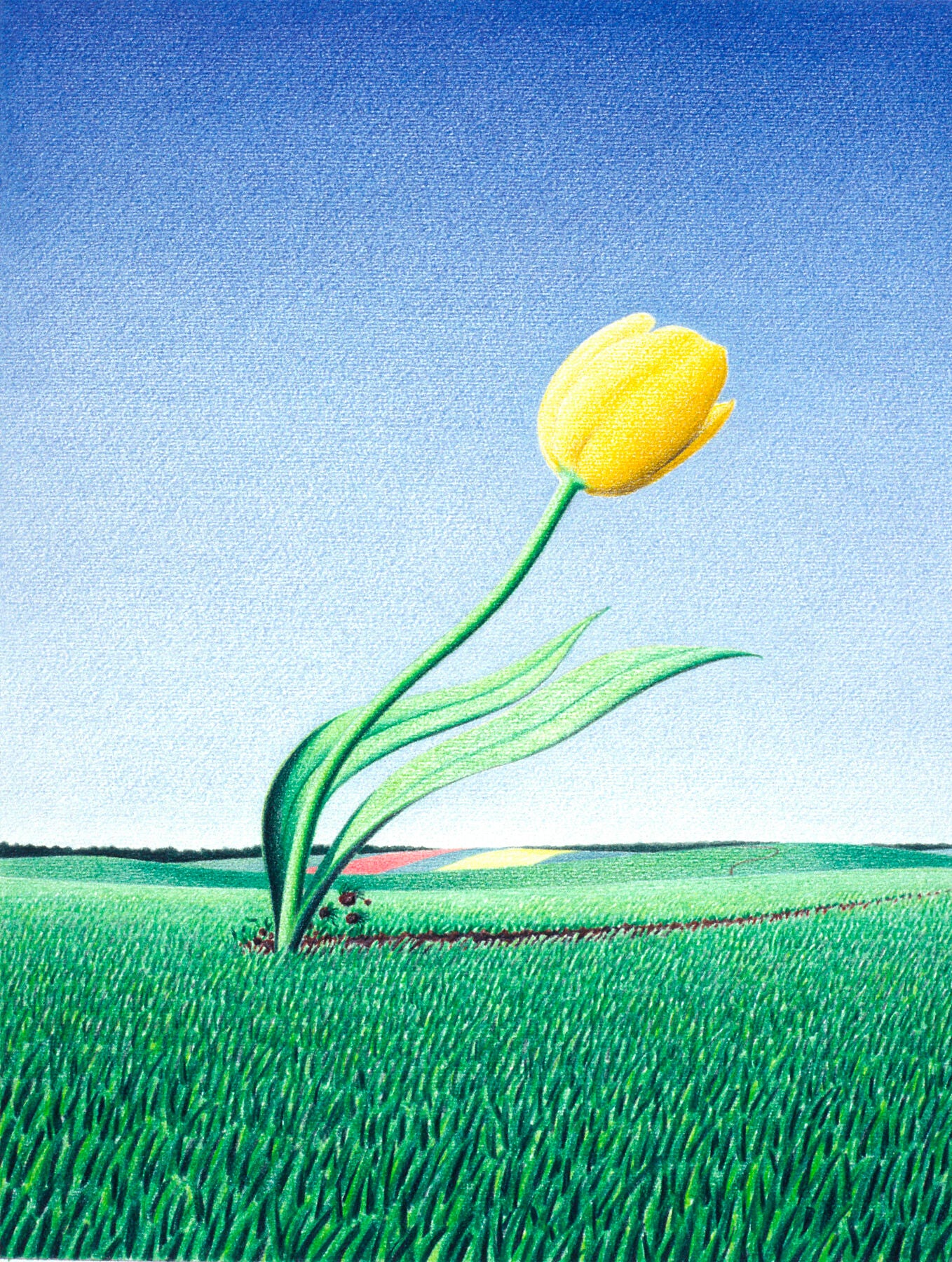Rene Boin, Fast Tulip, 1990