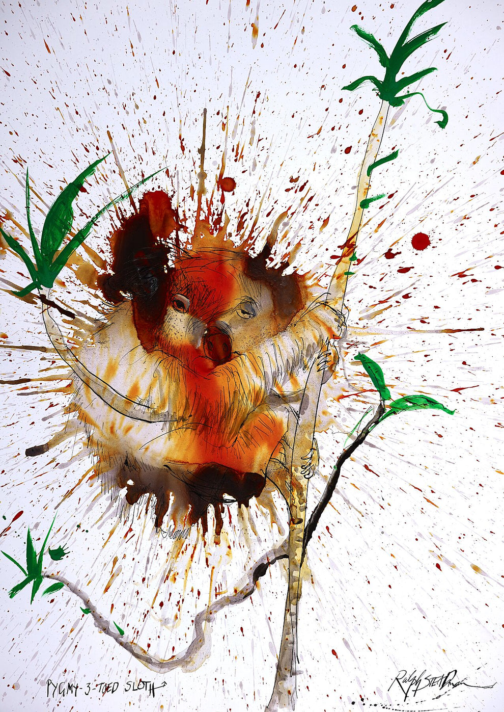 Fine Art Prints: ‘Critical Critters - Sloth’ by Ralph Steadman